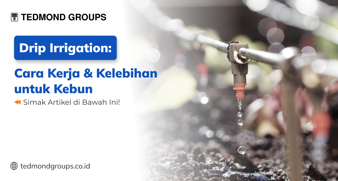 Drip Irrigation: Cara Kerja & Kelebihan untuk Kebun - Produsen Tangki ...