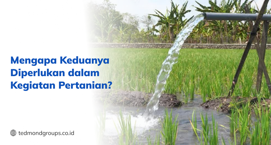 Apa Perbedaan Irigasi dan Drainase dalam Pertanian? - Produsen Tangki ...