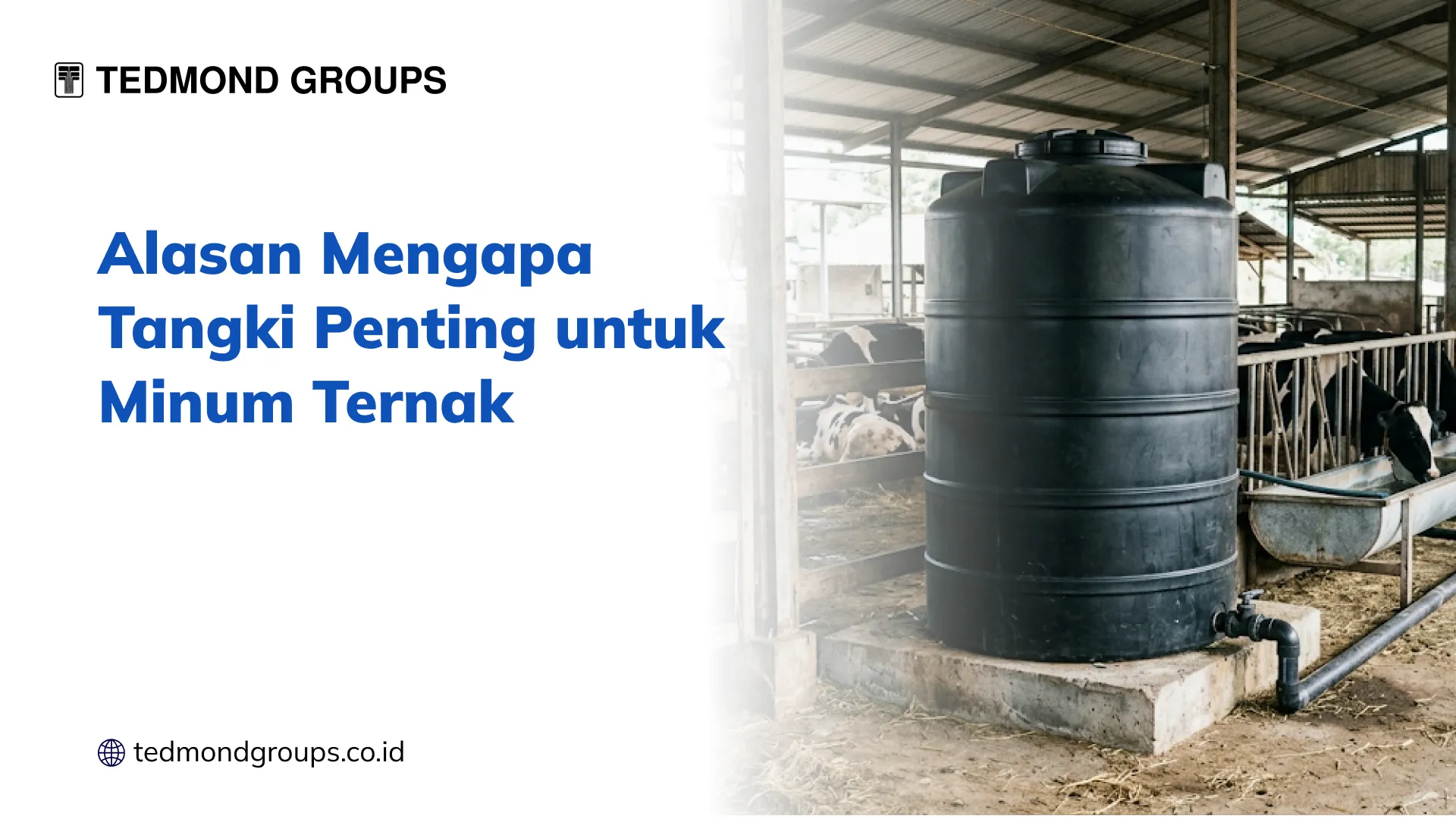 Mengapa Tangki Air Penting Untuk Air Minum Ternak? - Produsen Tangki Air #1
